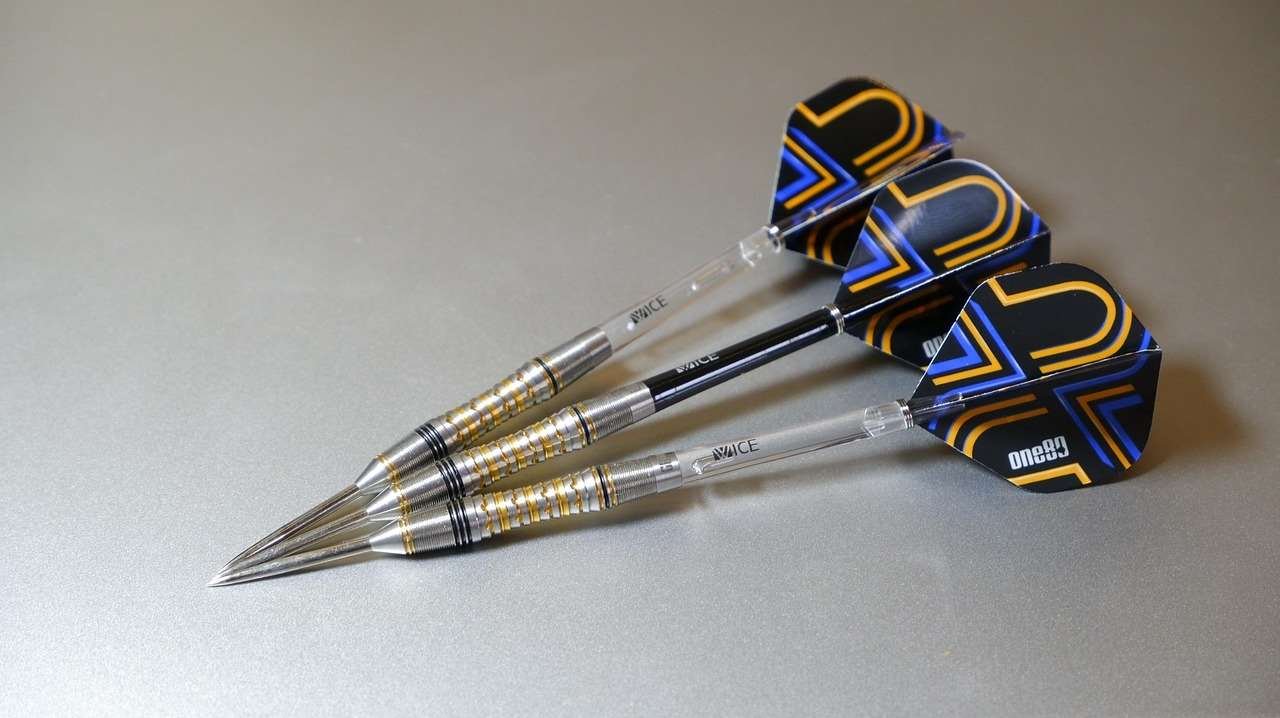 Kelly & Van Gerwen Triumph at Celebrity Darts WM 2026